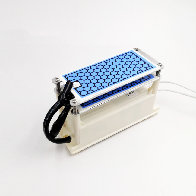 Portable Ceramic Ozone Generator 220V 10g Integrated Ceramic Plate ...